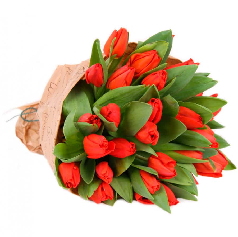Тюльпаны – купить в Химках от 130 руб. | Тюльпаны заказать недорого с ...